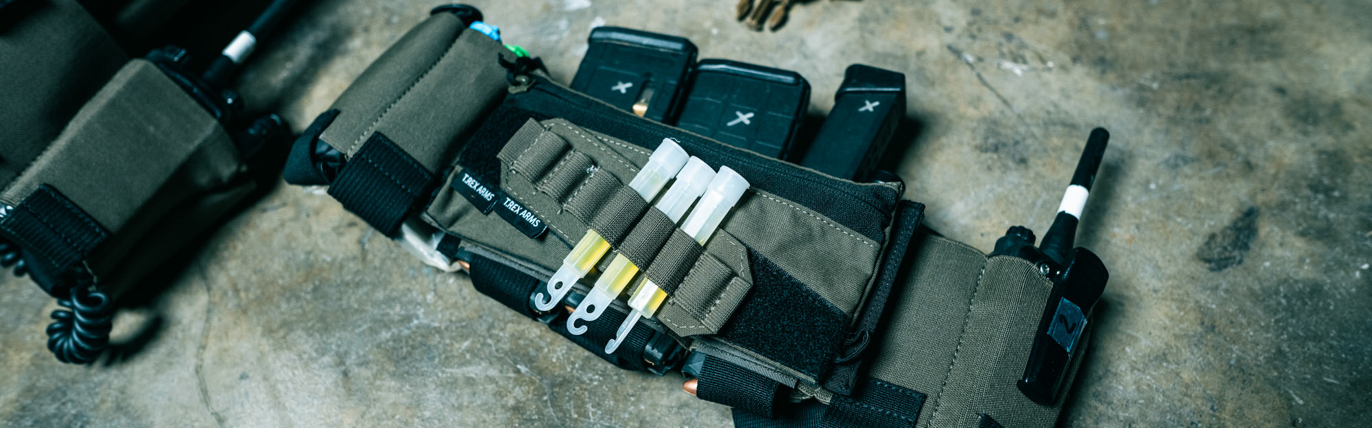 T Rex Arms After Workout