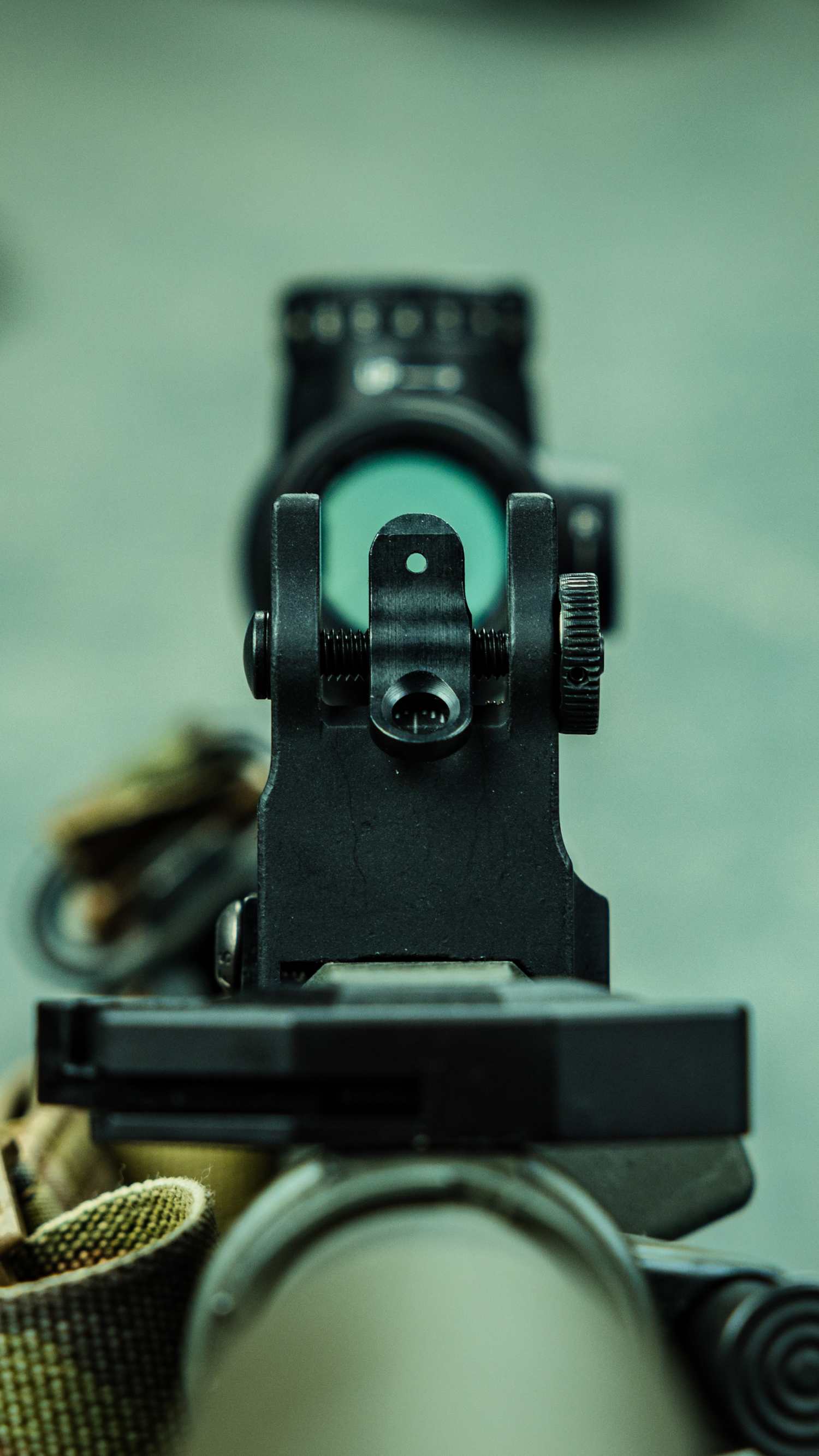 PRI Fixed Rear Sight – T.REX ARMS