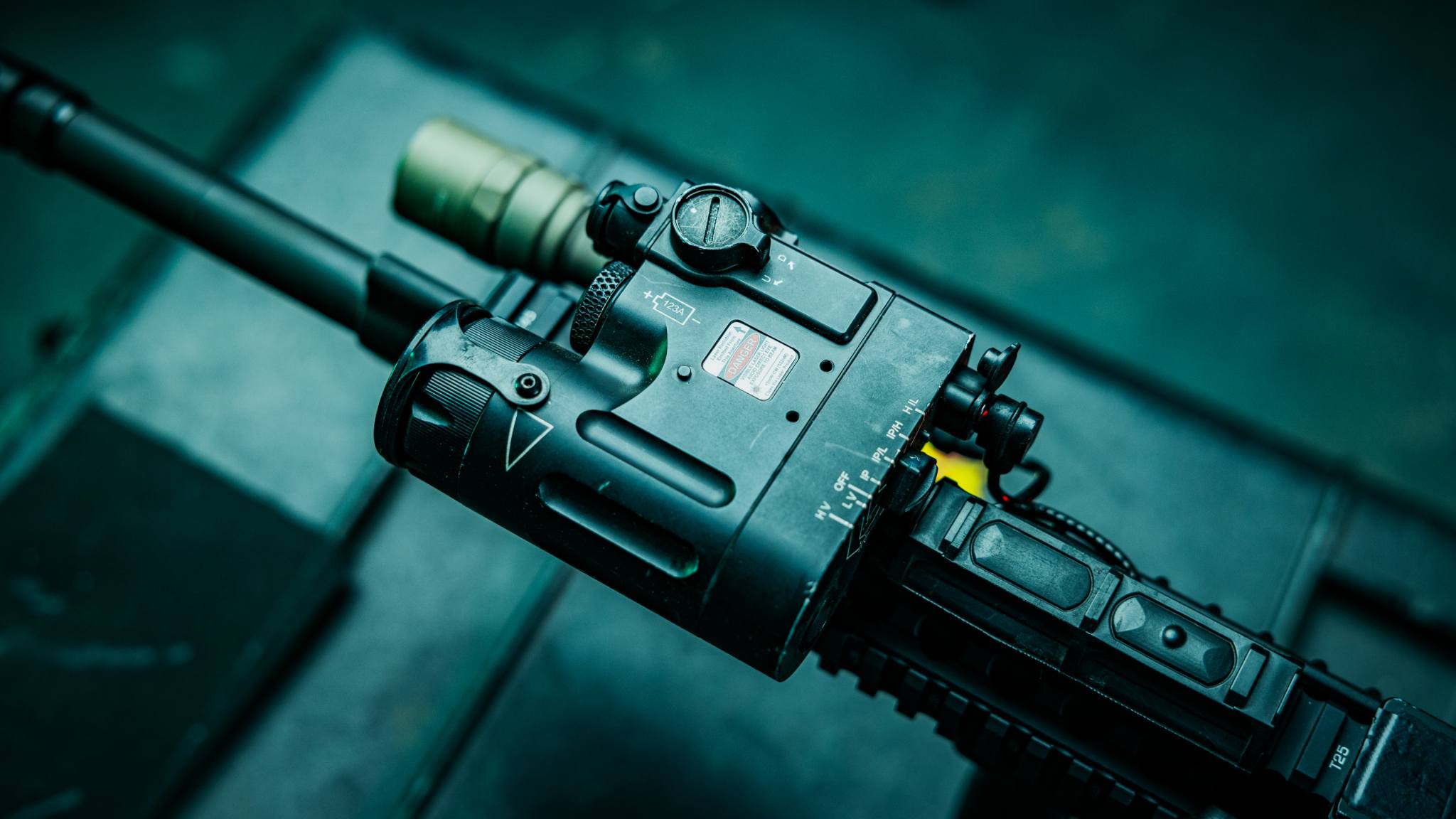 Steiner DBAL-D2 Laser – T.REX ARMS