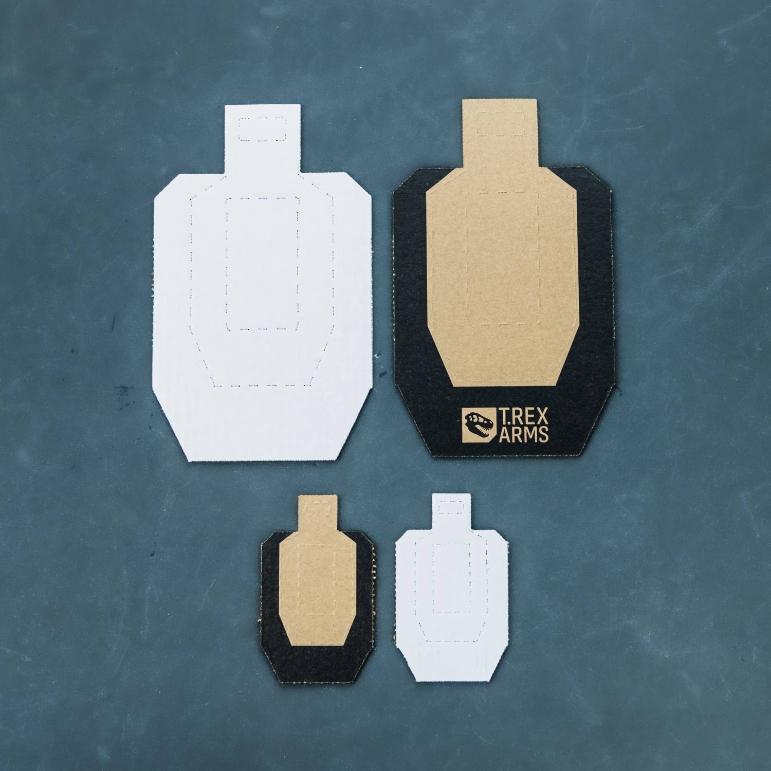 T.REX Scaled Dry Fire Targets – T.REX ARMS