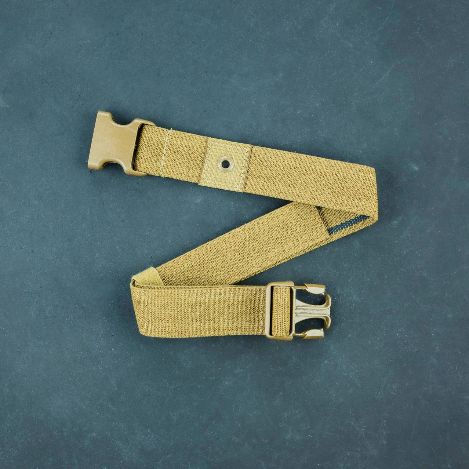 T.REX Thigh Strap – T.REX ARMS